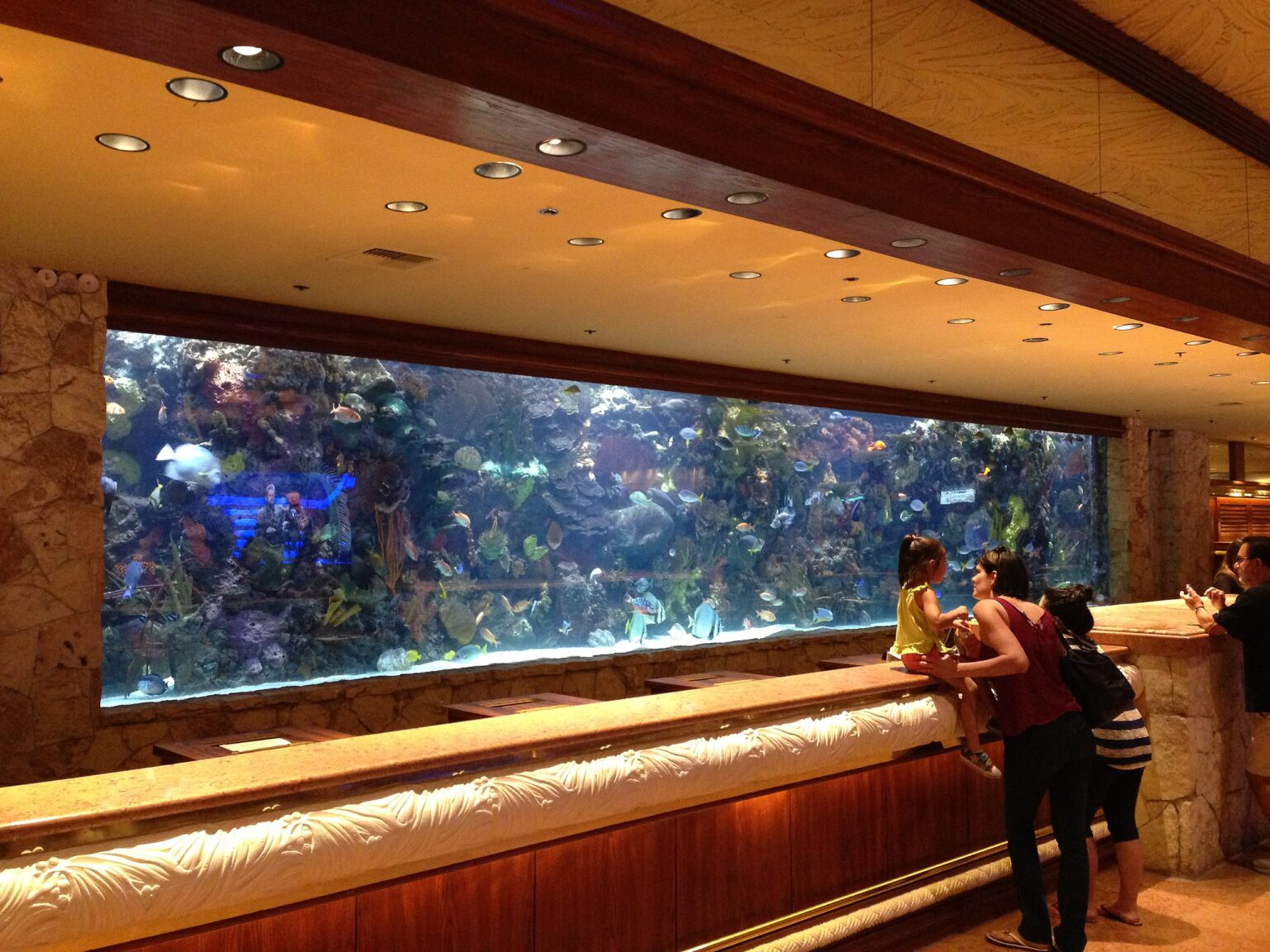 7 Ways The Mirage Transformed The Las Vegas Strip - TravelZork